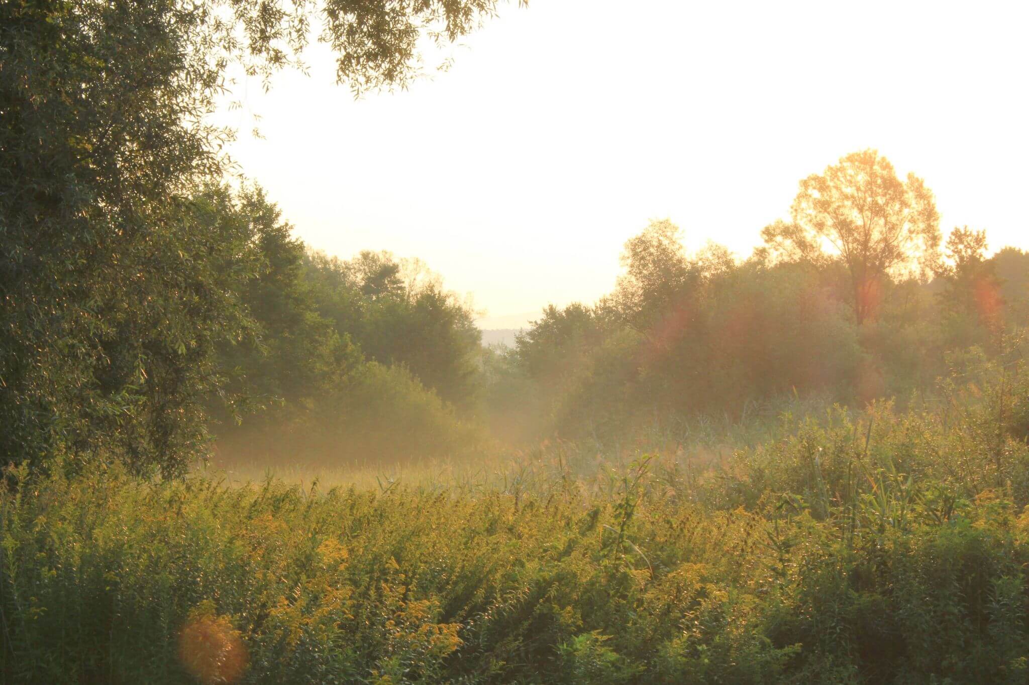 Das Moor in Oberwart - Prima Magazin